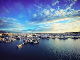 Passeios de barco