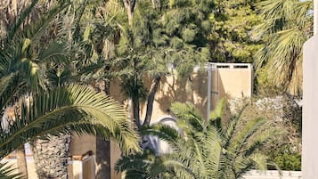 Jardim