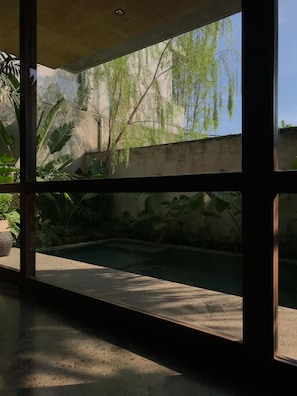 Visão através de grandes janelas de uma área de piscina com uma parede de concreto e vegetação exuberante.