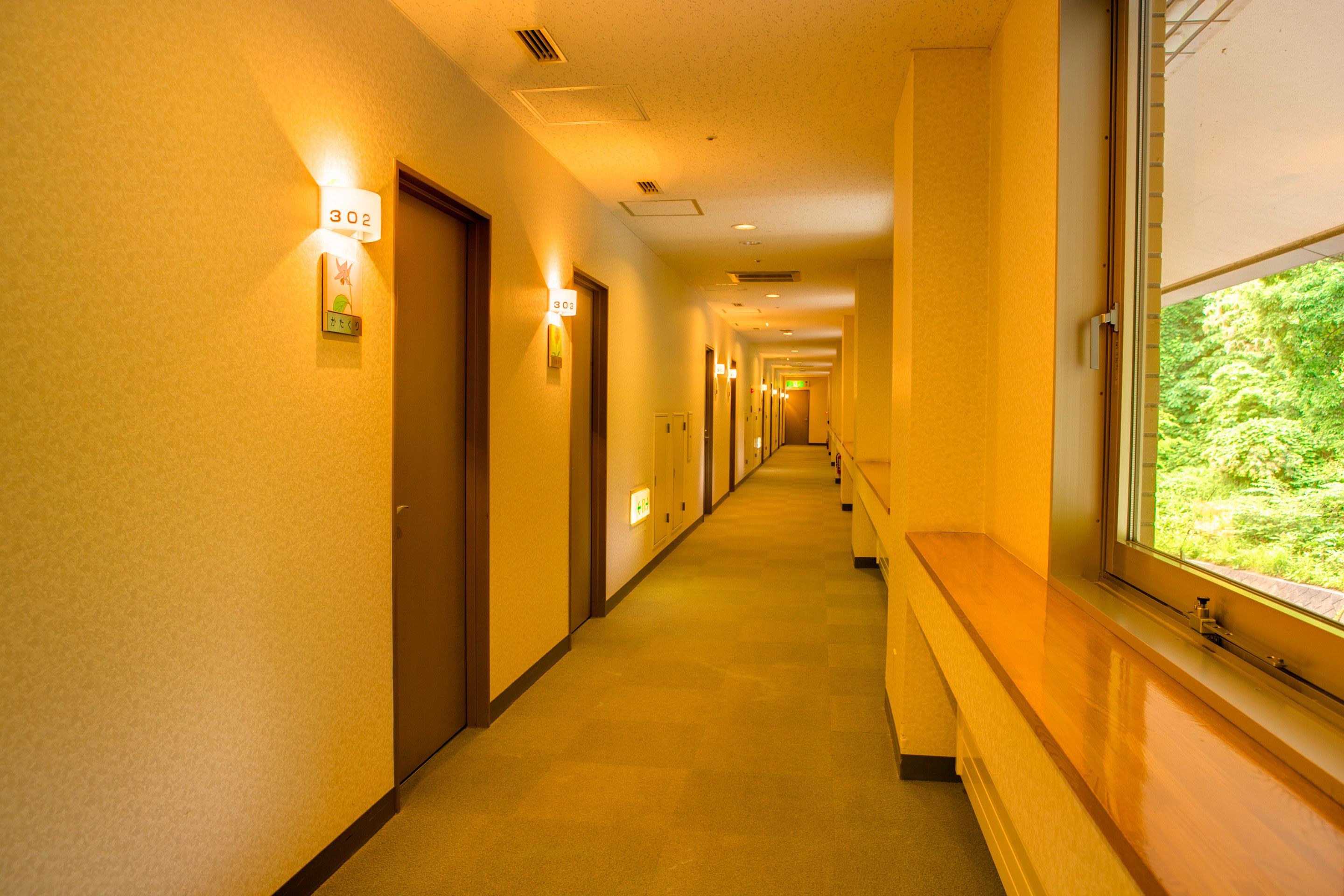 Um corredor de hotel com portas numeradas, uma janela com vista para vegetação e piso coberto de carpete.