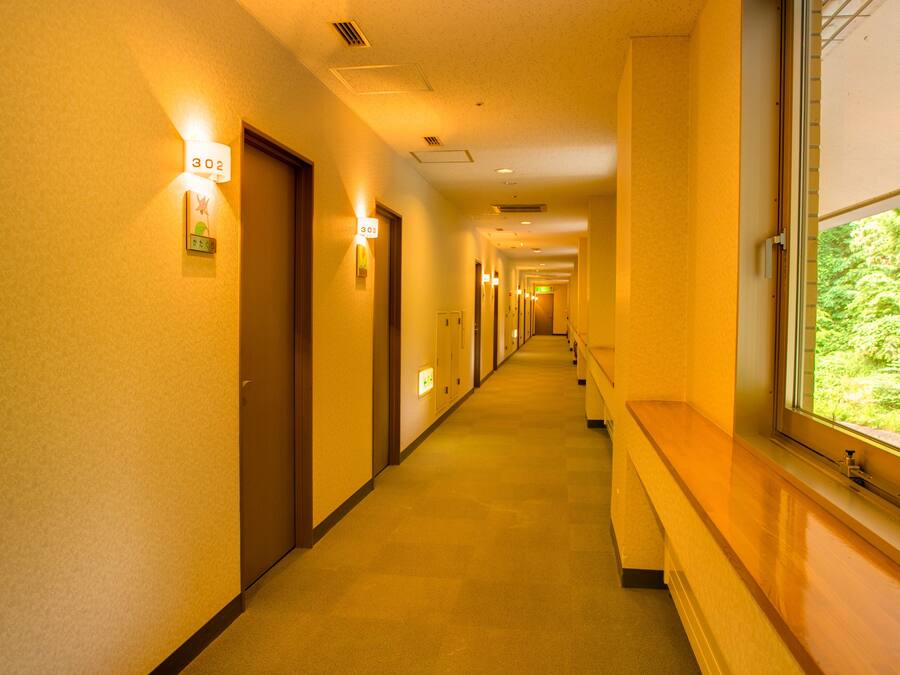 Um corredor de hotel com portas numeradas, uma janela com vista para vegetação e piso coberto de carpete.