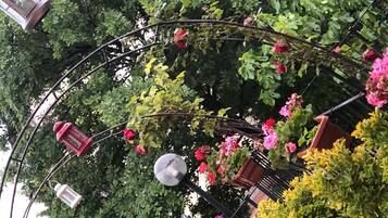 Um jardim com um caminho sinuoso, lanternas vermelhas e diversas plantas floridas.