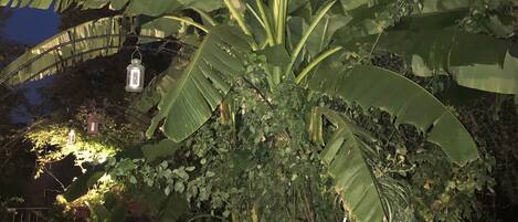 Quarto casal, suíte | Terraço/pátio