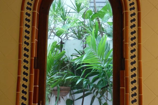 Apartamento básico, banheiro privativo | Cozinha privada | Geladeira, micro-ondas, cooktop, cafeteira/chaleira