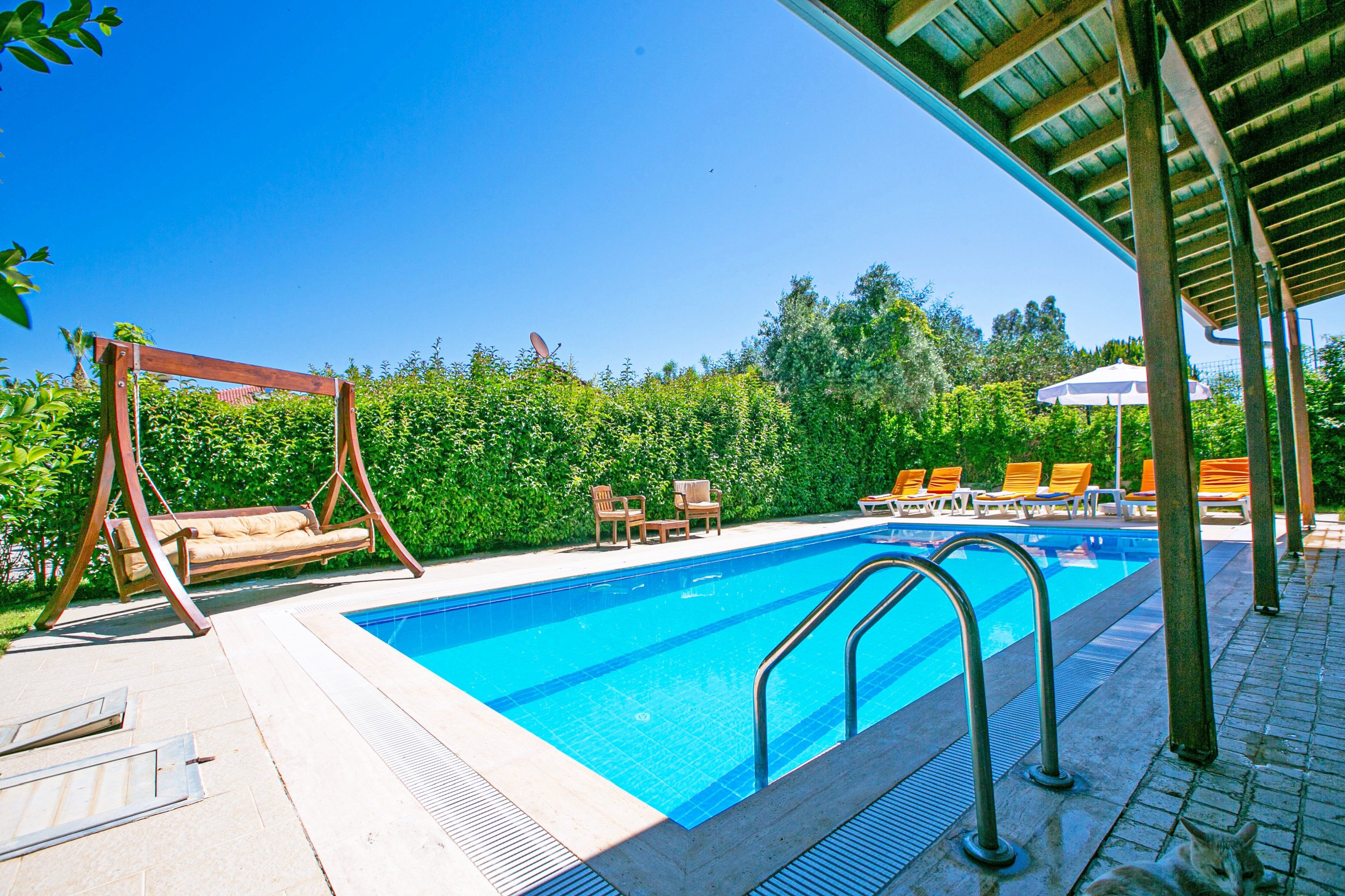 Piscina com espreguiçadeiras e cadeira de balanço, rodeada por vegetação.