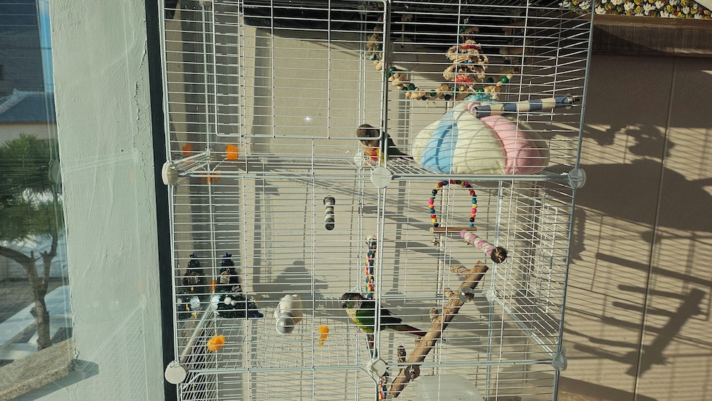 Sky-tary Pension - Jeju