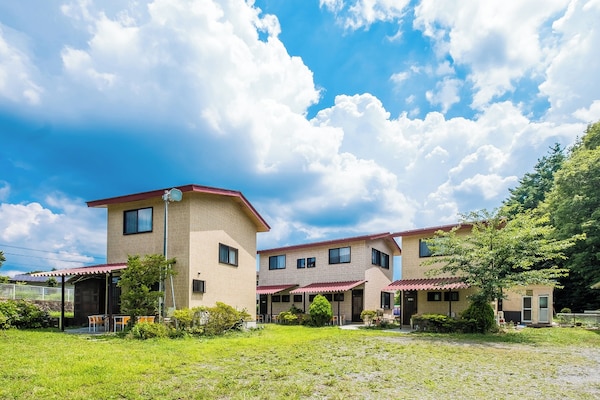 Lupinus Kawaguchiko - Fujiyoshida