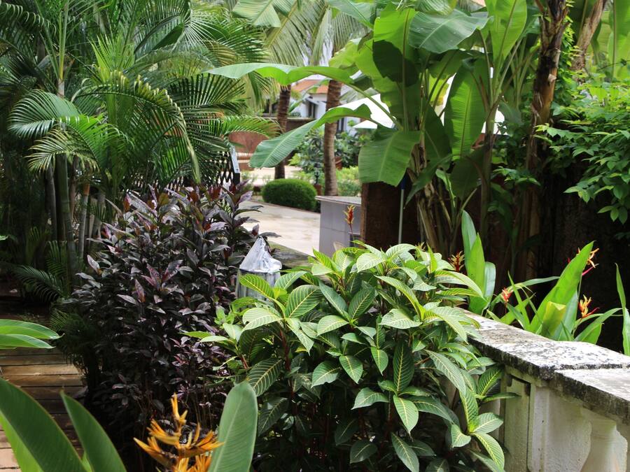 Apartamento superluxo, 1 quarto, vista para o jardim | Vista do quarto