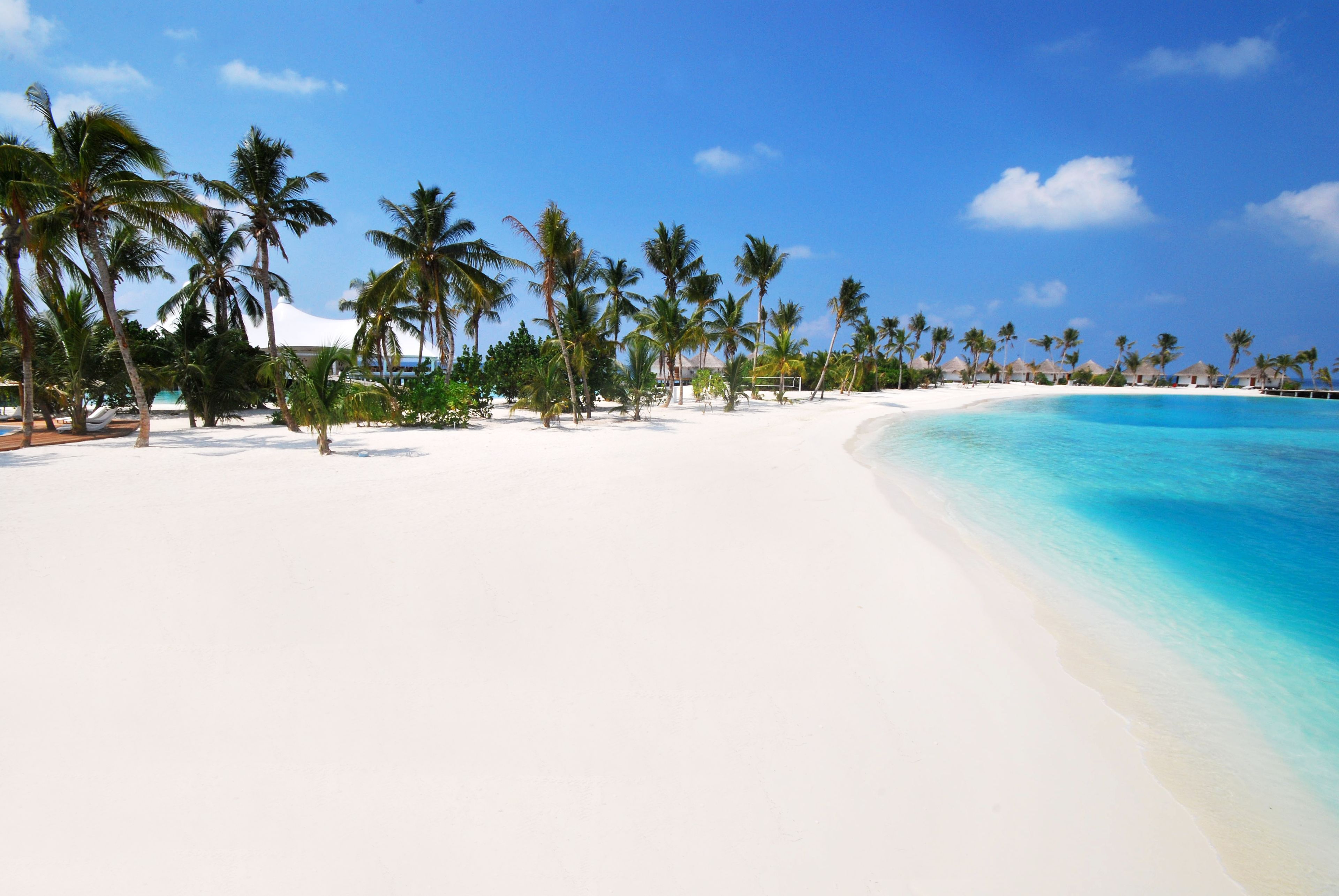Uma praia com areia branca e águas azul-claras, cercada por palmeiras.