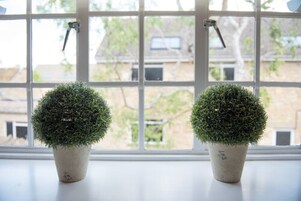 Quarto Duplo Standard, 1 quarto (Deer) | Roupa de alta qualidade, secretária, ferro/tábua de engomar