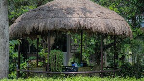 Um gazebo com telhado de palha, com um banco e plantas penduradas, cercado por vegetação exuberante.