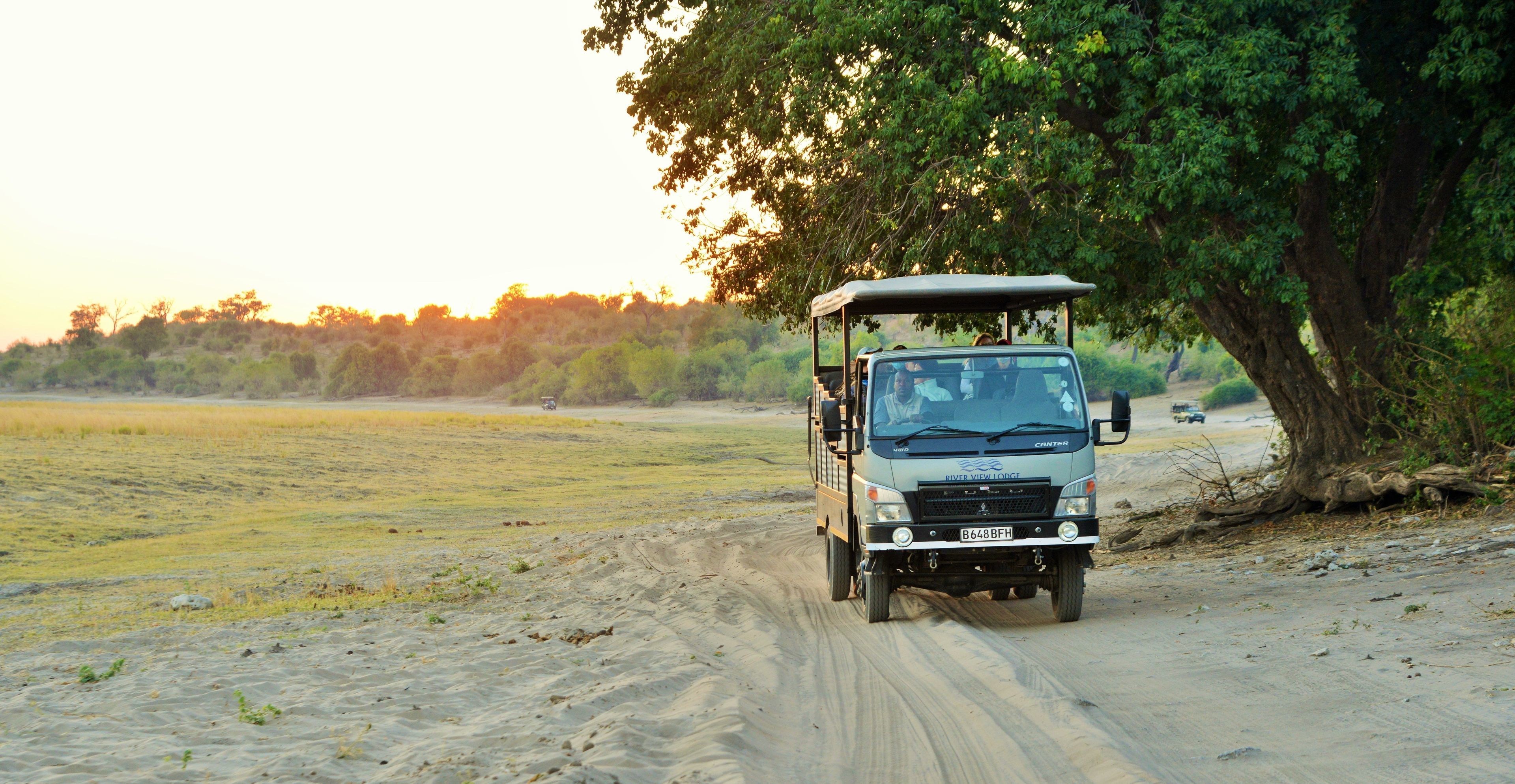 Veículo de safari em estrada de terra, com árvores e céu claro ao fundo.