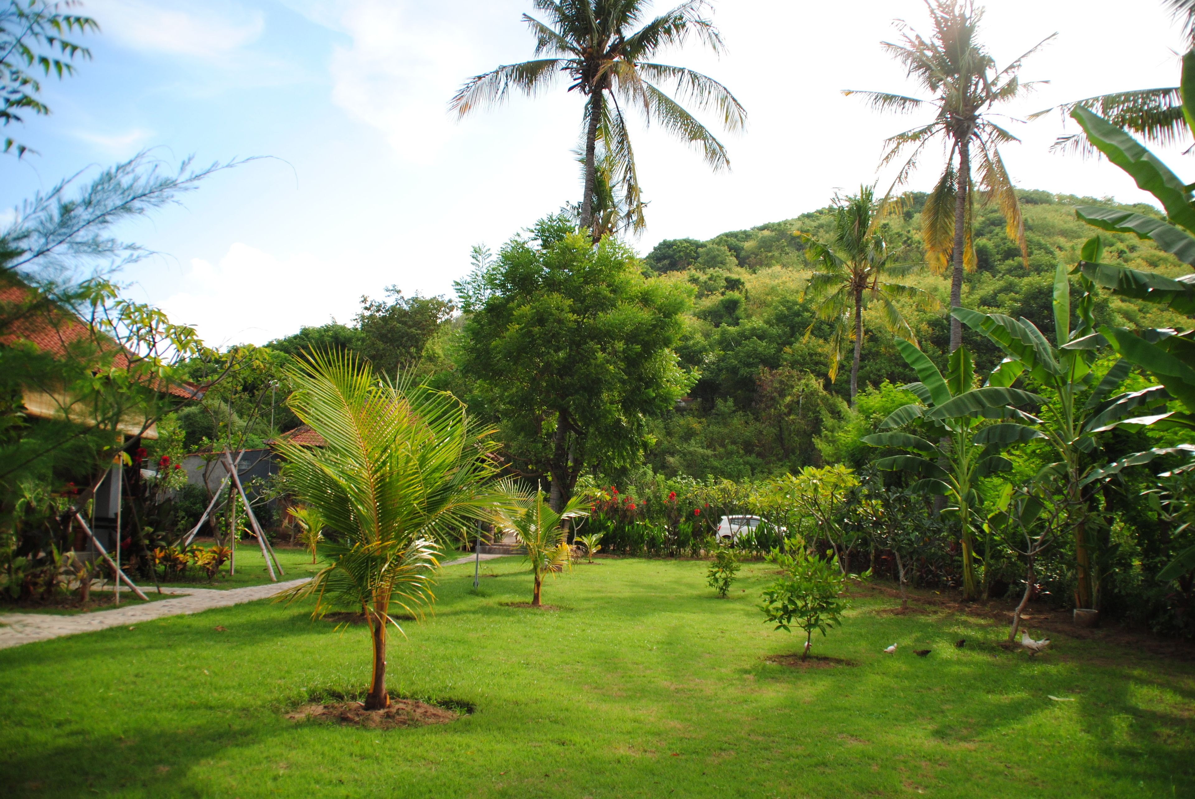 Vista para a montanha