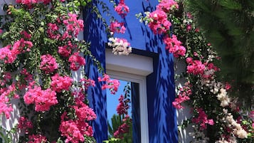 Pormenores do exterior