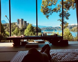 Área da propriedade