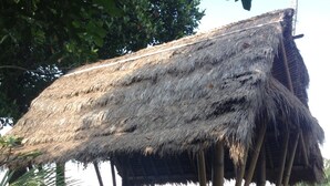 Uma estrutura com telhado de palha, com um banco e degraus, cercada por vegetação.