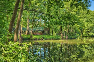 Uma cabana rodeada por vegetação exuberante e um lago tranquilo.
