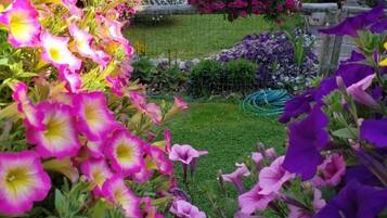 Um jardim com flores vibrantes e gramado.