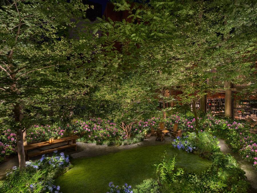 Um jardim exuberante com um banco de madeira e um caminho que leva a um edifício com estantes.