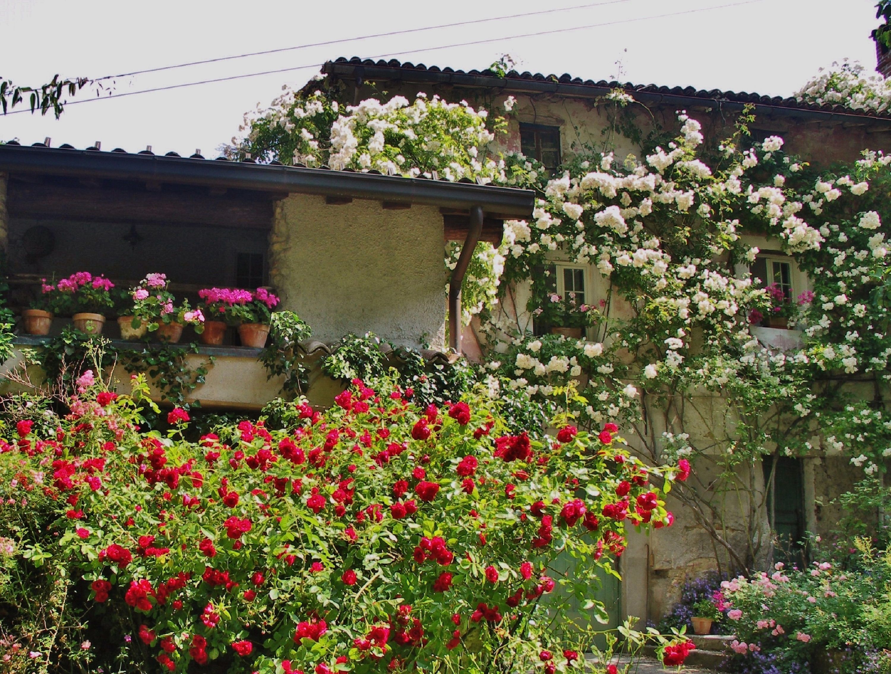 Fachada da propriedade