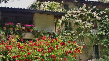 Fachada da propriedade