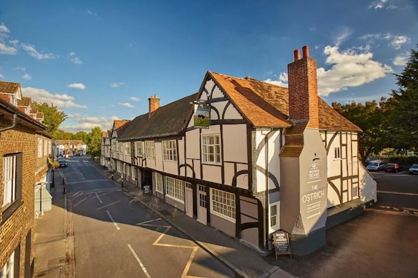 The Ostrich Inn - Slough