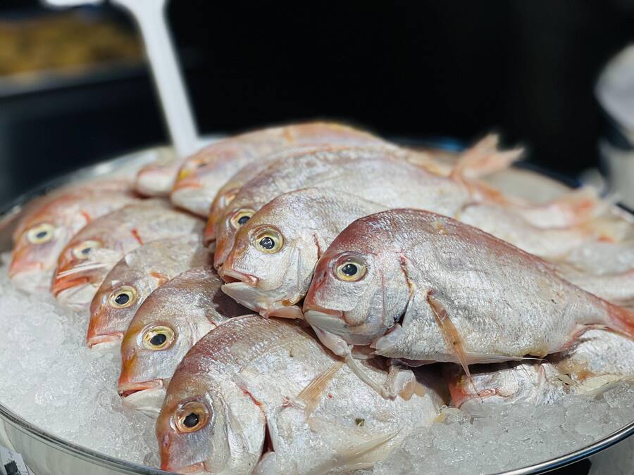 Peixe fresco em gelo.