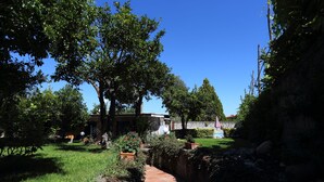 Um caminho no jardim com vegetação exuberante e um céu azul límpido.