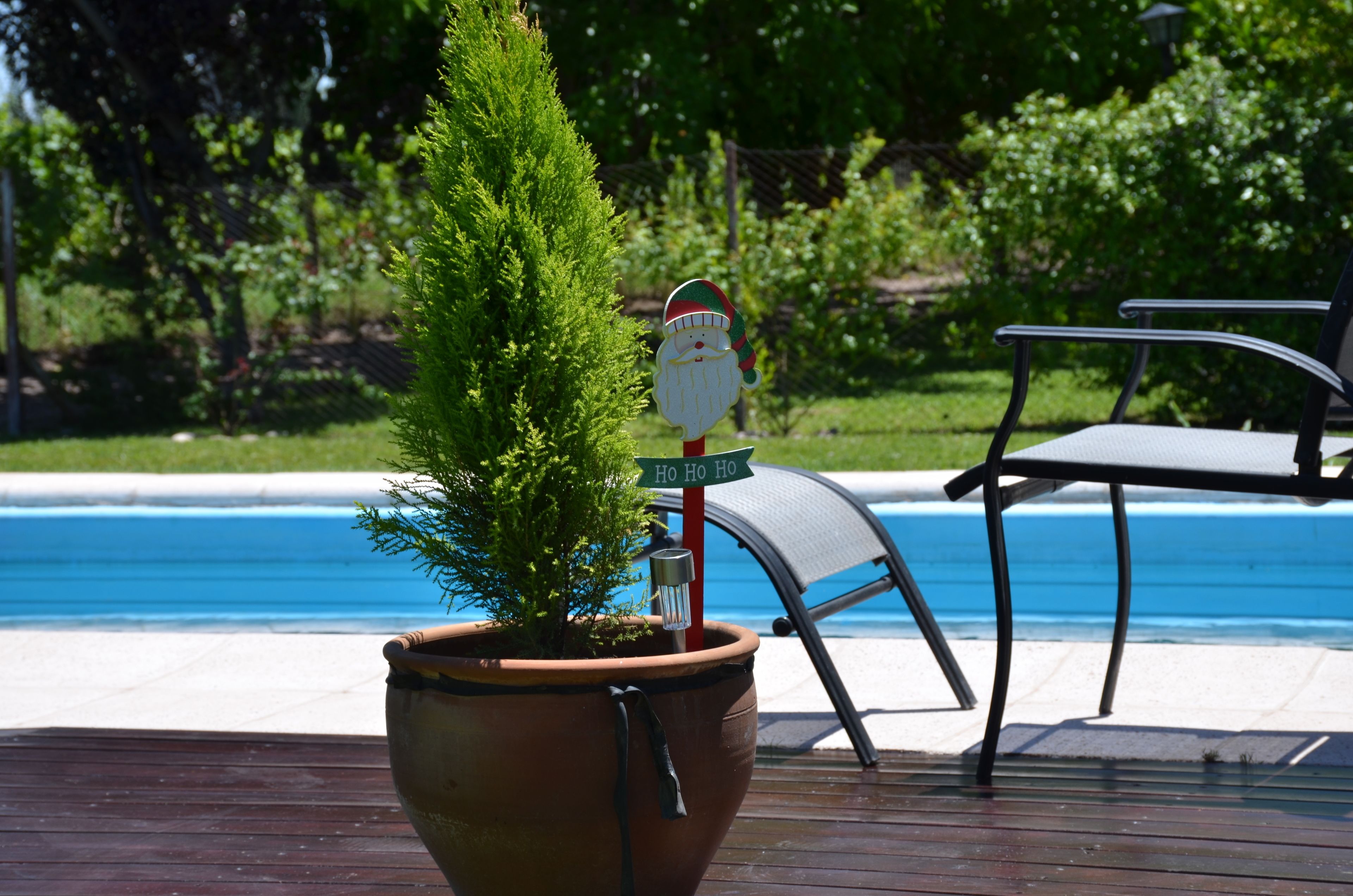 Árvore de Natal em vaso com enfeite de Papai Noel e placa com a inscrição 'Ho Ho Ho' perto de uma cadeira de piscina.