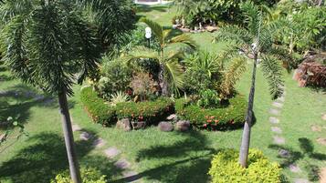 Jardim bem cuidado com diversas plantas e um caminho.