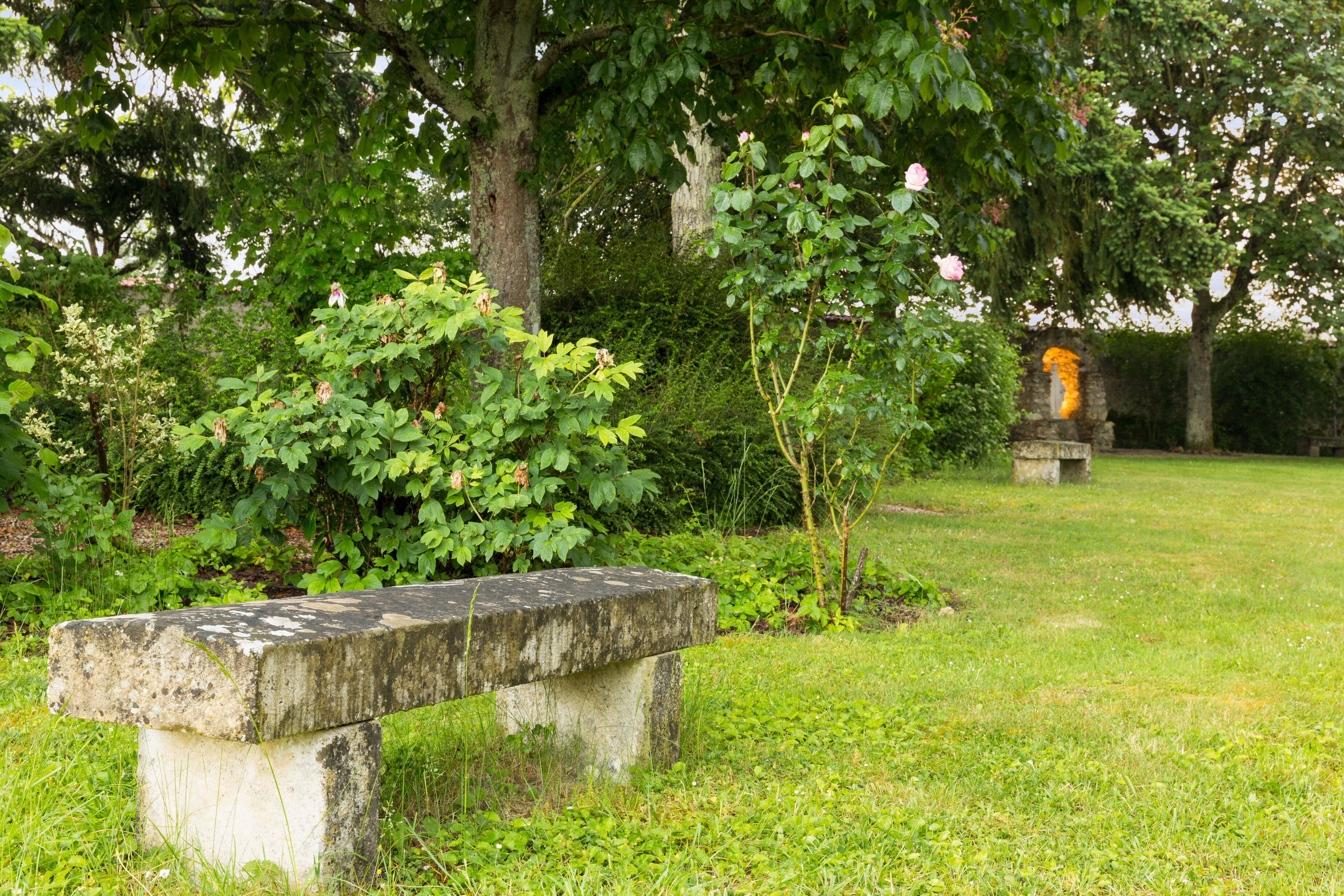 Um parque com um banco de pedra, rodeado por vegetação exuberante e árvores.