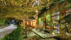 Uma área externa de café com mesas e cadeiras, cercada por vegetação e uma rua ao fundo.