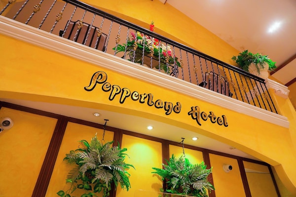 The Pepperland Hotel - Legazpi City
