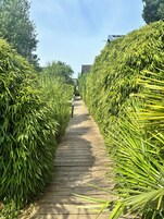 Um caminho de madeira ladeado por altas sebes verdes que leva a um edifício.