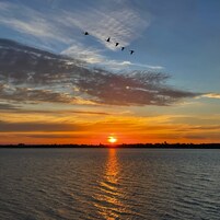 Um pôr do sol sobre a água, com pássaros voando no céu.