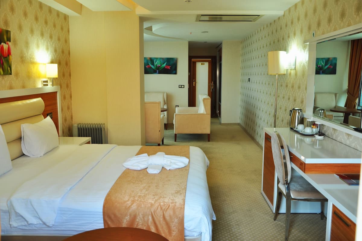 Quarto de hotel com cama, escrivaninha, cadeira, radiador e espelho.