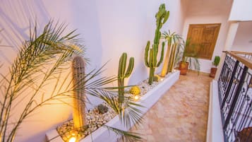 Terraço/pátio