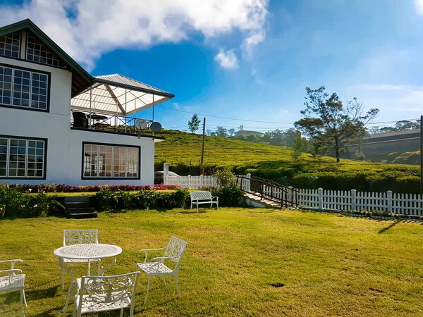 The Tea Garden - Nuwara Eliya
