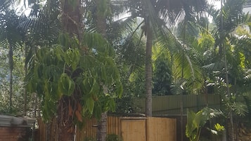 Jardim