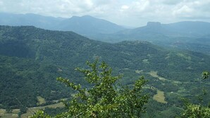 Uma vista panorâmica de uma paisagem montanhosa com florestas densas e colinas ondulantes.