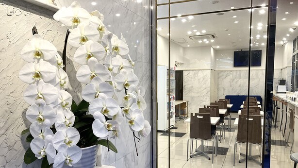 Um hall de hotel moderno com uma exposição de orquídeas brancas, área de estar com mesas e cadeiras, e divisória de vidro.