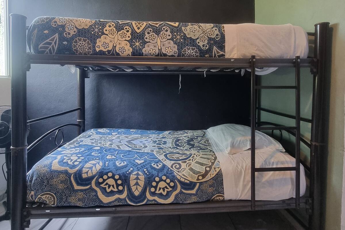 Uma cama beliche com roupa de cama estampada, um ventilador e uma janela num quarto com paredes verdes.