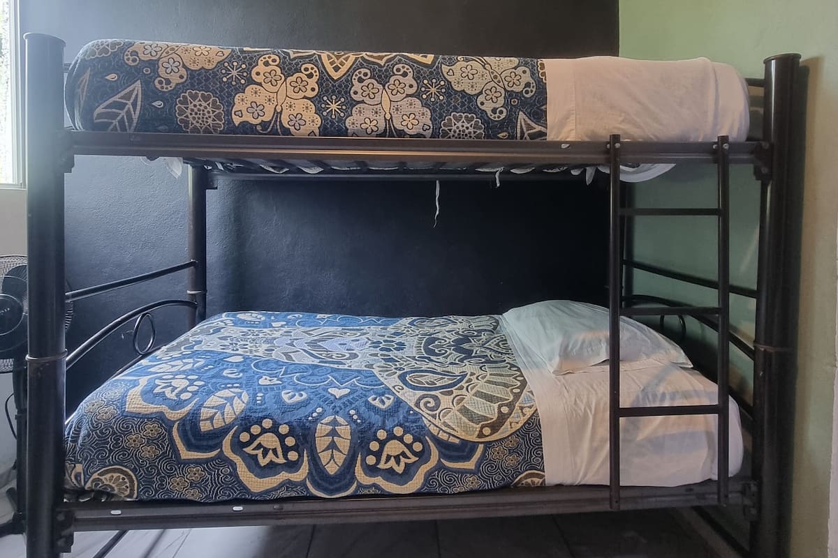 Uma cama beliche com roupa de cama estampada, um ventilador e uma janela num quarto com paredes verdes.
