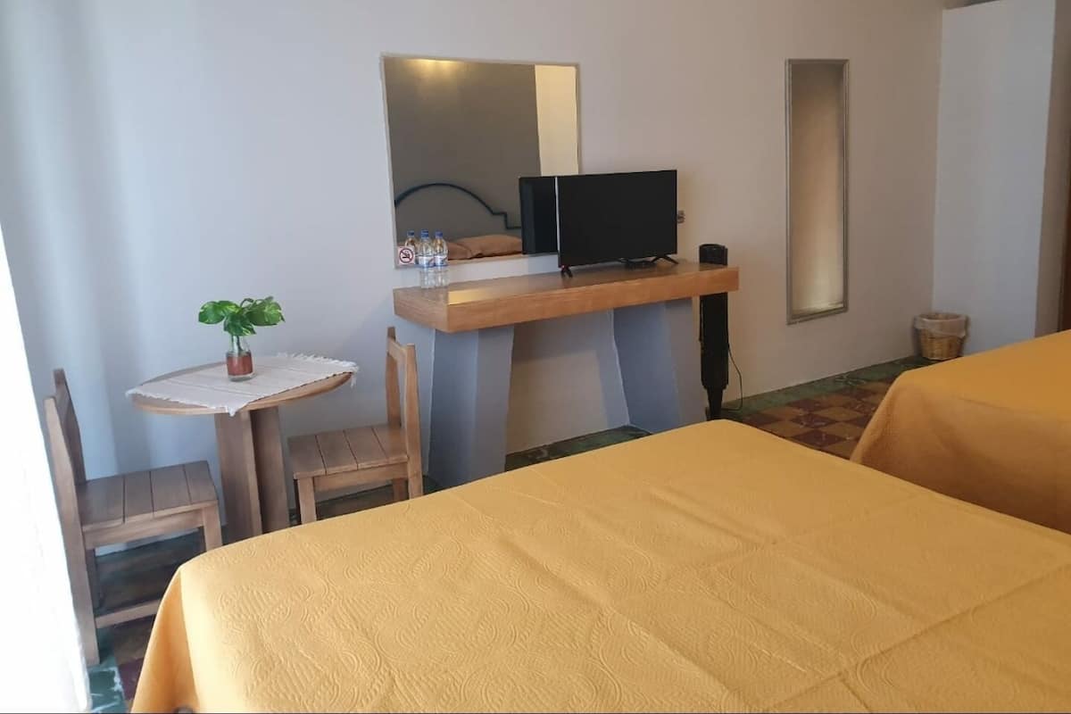 Quarto de hotel com duas camas, uma pequena escrivaninha com televisão, uma cadeira, uma mesinha com uma planta e um espelho na parede.