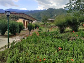 Jardim