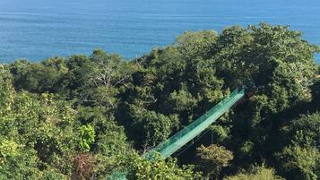 Uma área arborizada com uma ponte suspensa verde.