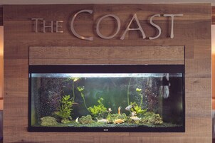 Serviço de café da manhã, culinária britânica, vistas para o jardim 