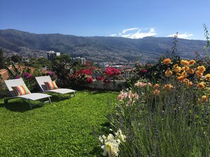 Jardim