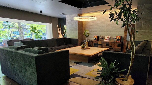 Uma sala de estar moderna com um sofá seccional, uma mesa de centro e uma planta grande.