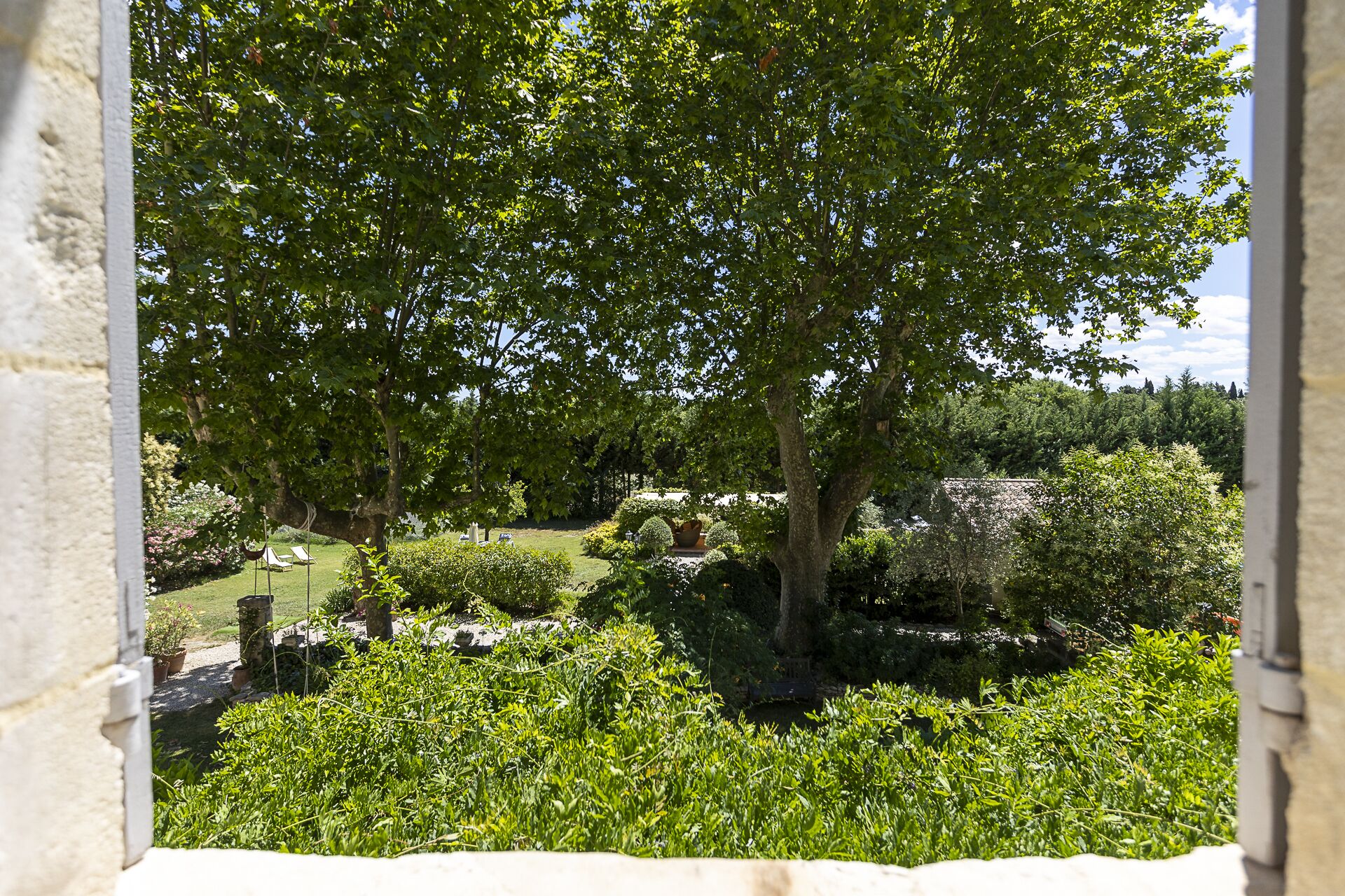 Visão pela janela de um jardim com uma árvore grande, arbustos variados e um muro de pedra.